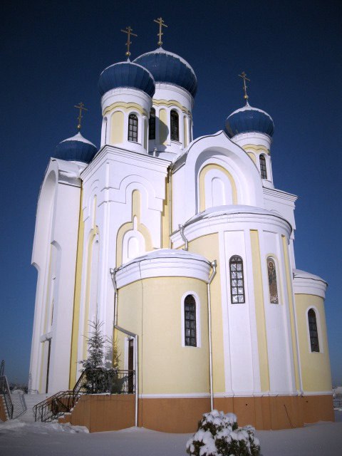 Георгиевский храм г. Бреста (город Брест, Брестский район, Брестская ...